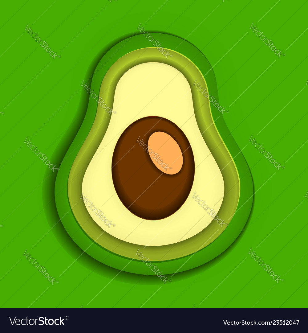 Paper cut green avocado shapes Royalty Free Vector Image