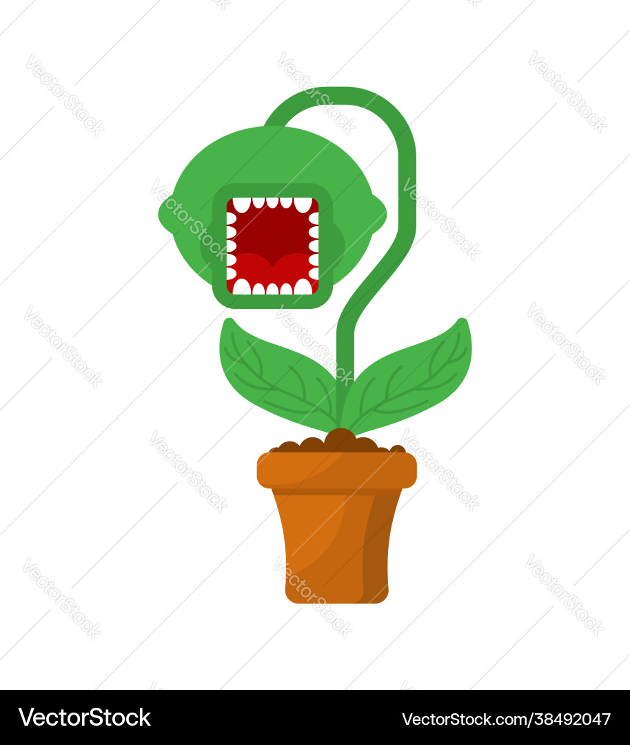 Predatory flower with teeth isolated flytrap Vector Image