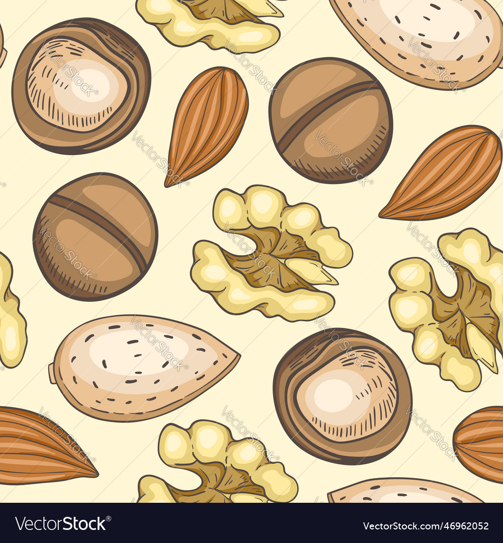 Seamless pattern with nuts Royalty Free Vector Image
