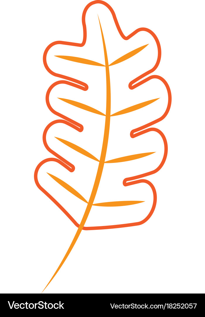 Autumn leaf foliage flora decoration Royalty Free Vector