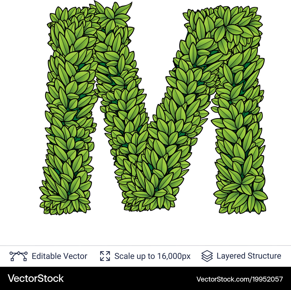 Letter m symbol green leaves Royalty Free Vector Image