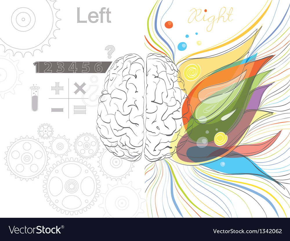 The left and the right brain functions Royalty Free Vector