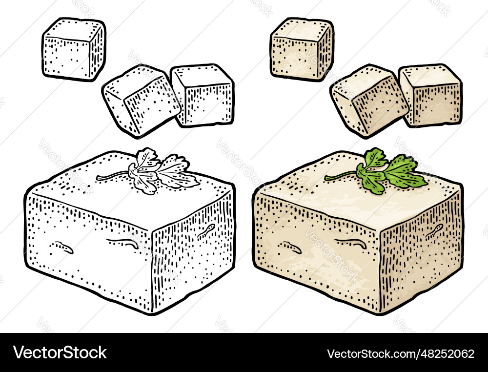 Tofu color vintage engraved Royalty Free Vector Image