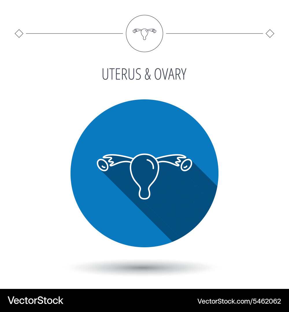 Uterus icon ovary sign Royalty Free Vector Image