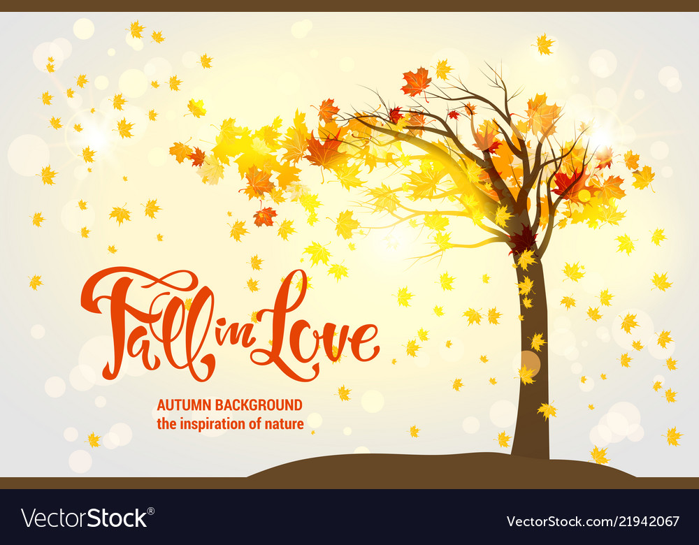 Maple fall tree Royalty Free Vector Image - VectorStock