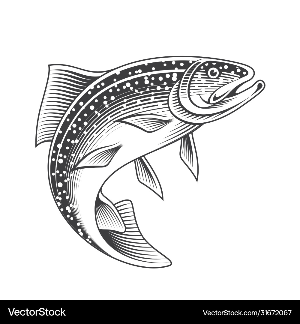 Vintage bass fish concept Royalty Free Vector Image