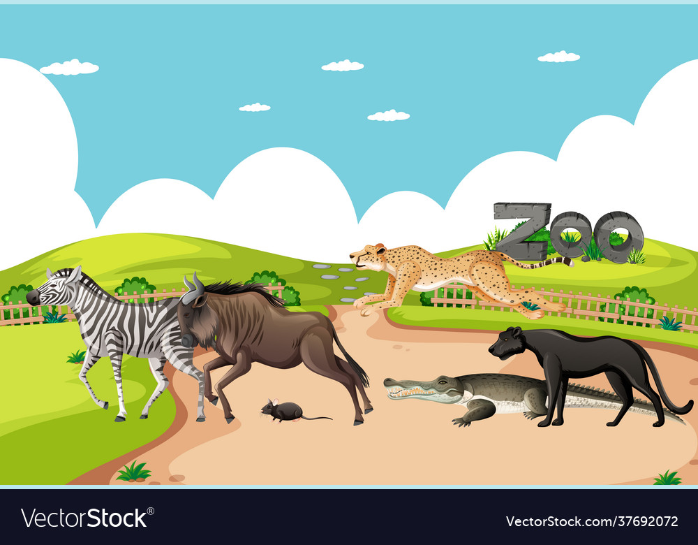 Group wild african animal in zoo scene Royalty Free Vector