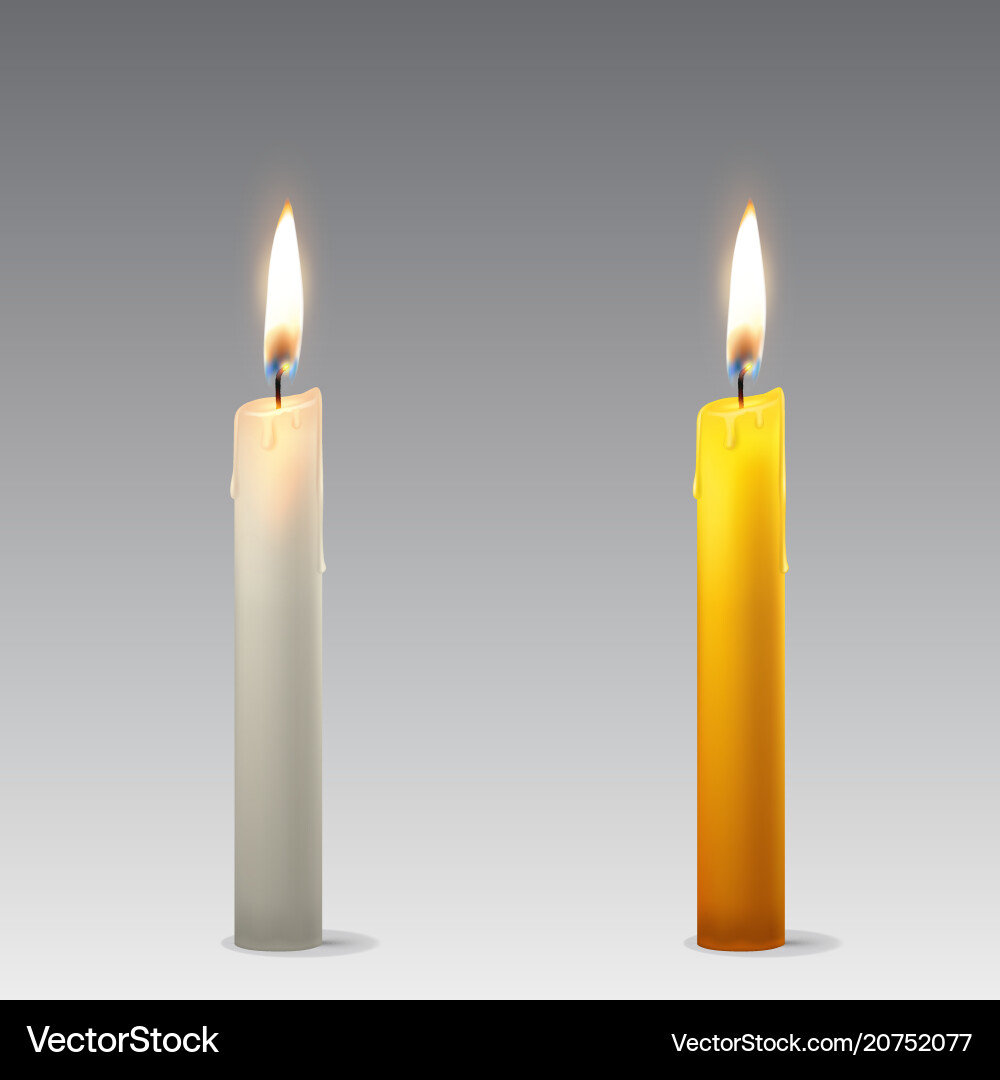 3d realistic white and orange paraffin or Vector Image