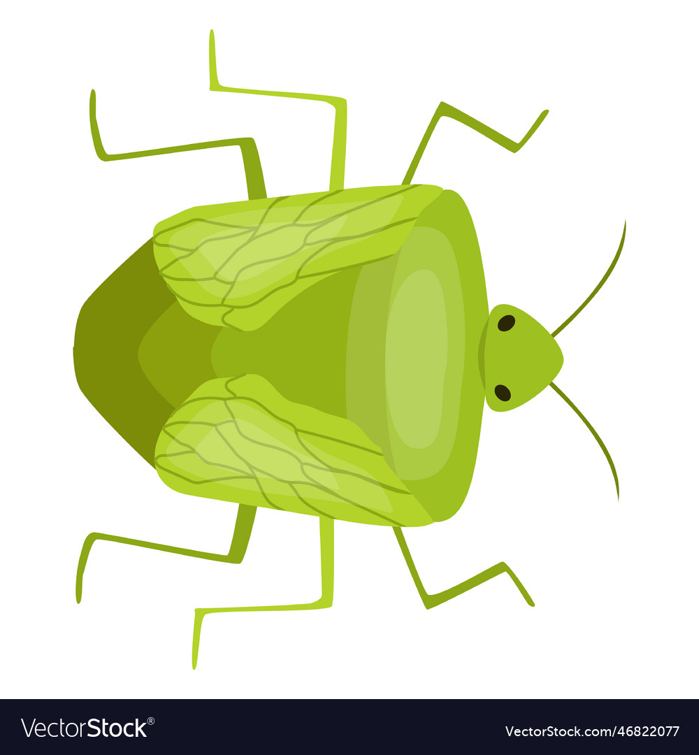 Bug bedbug chinch flat Royalty Free Vector Image