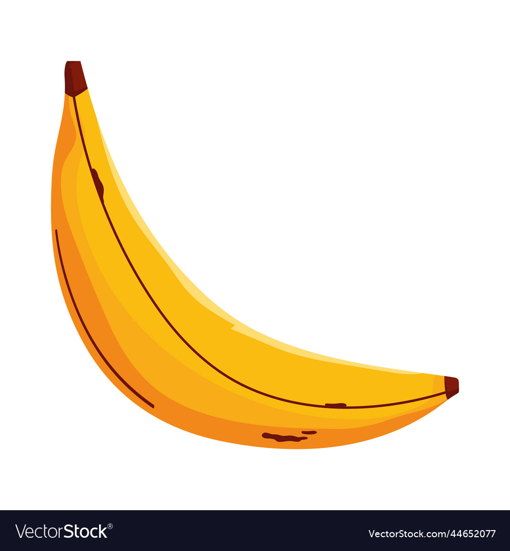Fresh banana fruit healthy Royalty Free Vector Image