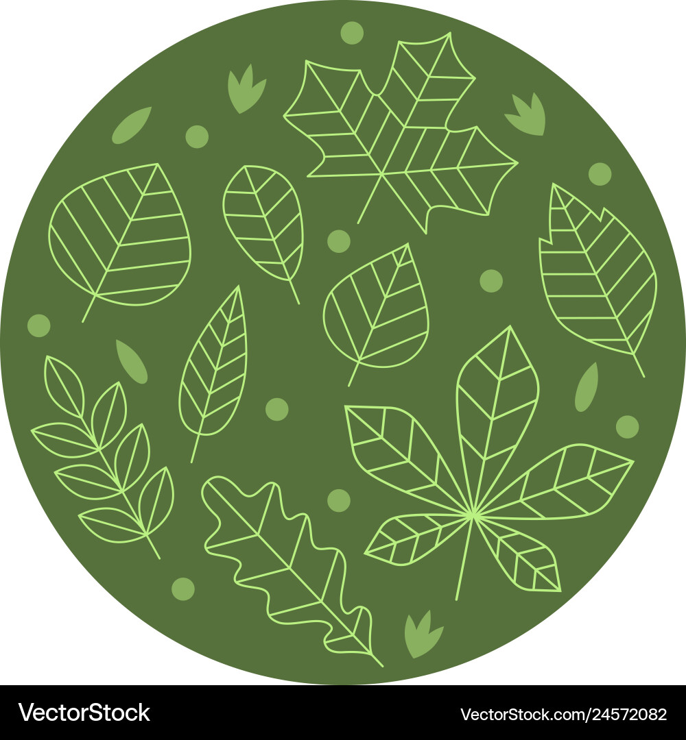 Flat line design autumn leaves clean and Vector Image
