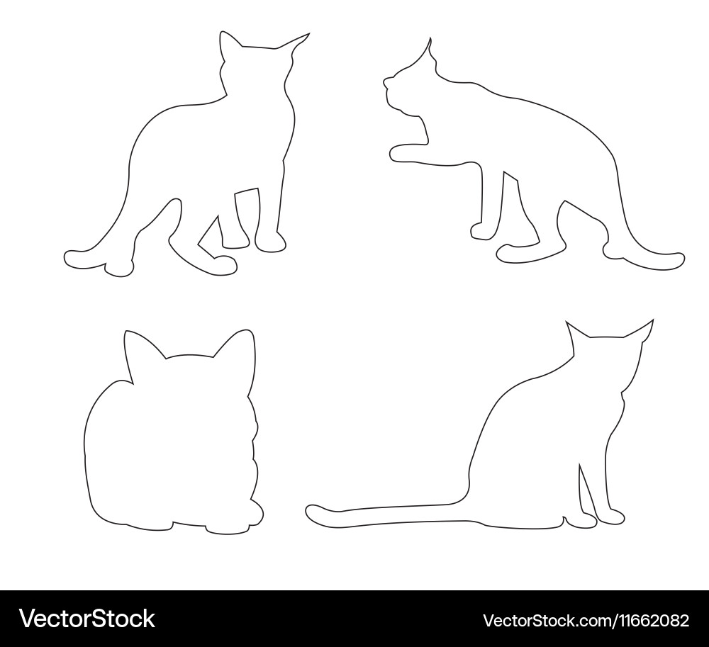Paths of cats set on the white background Vector Image