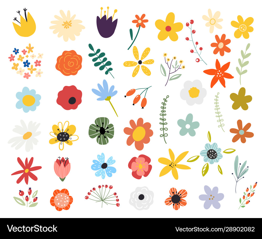 Set spring colorful flowers floral Royalty Free Vector Image