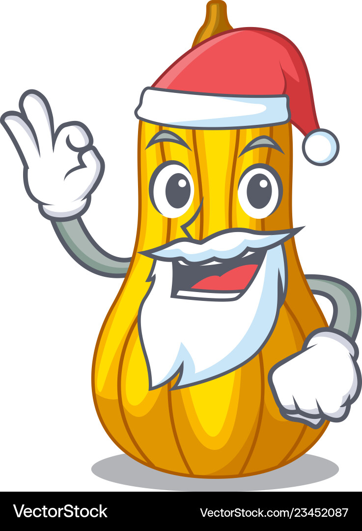 Santa squash in a mascot fruit basket Royalty Free Vector