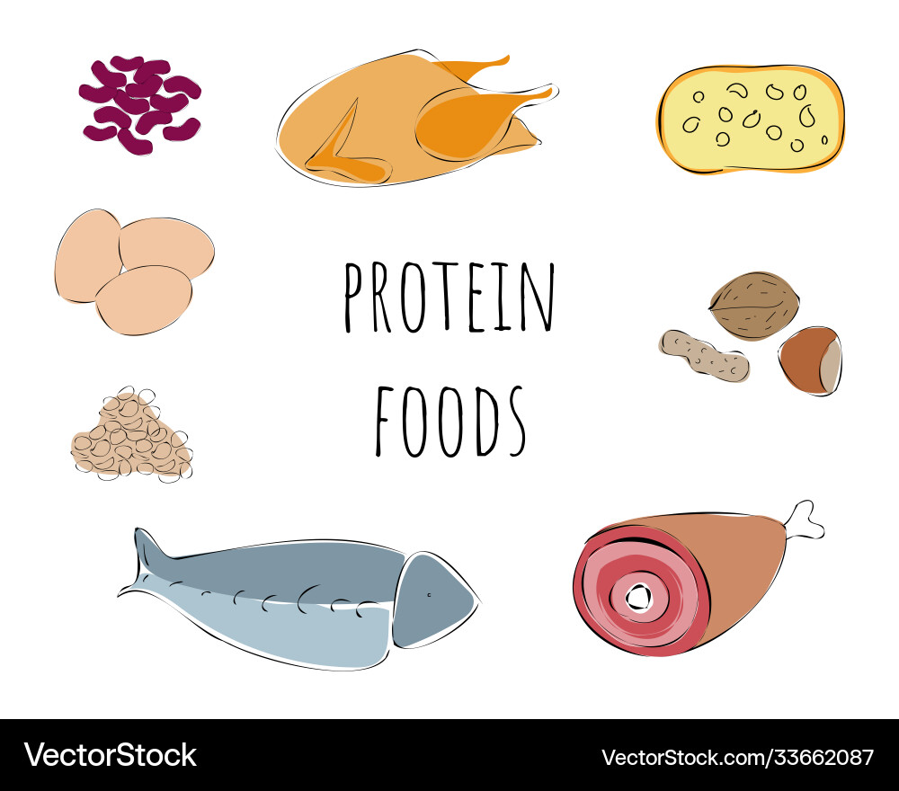 Set with protein foods on a white Royalty Free Vector Image