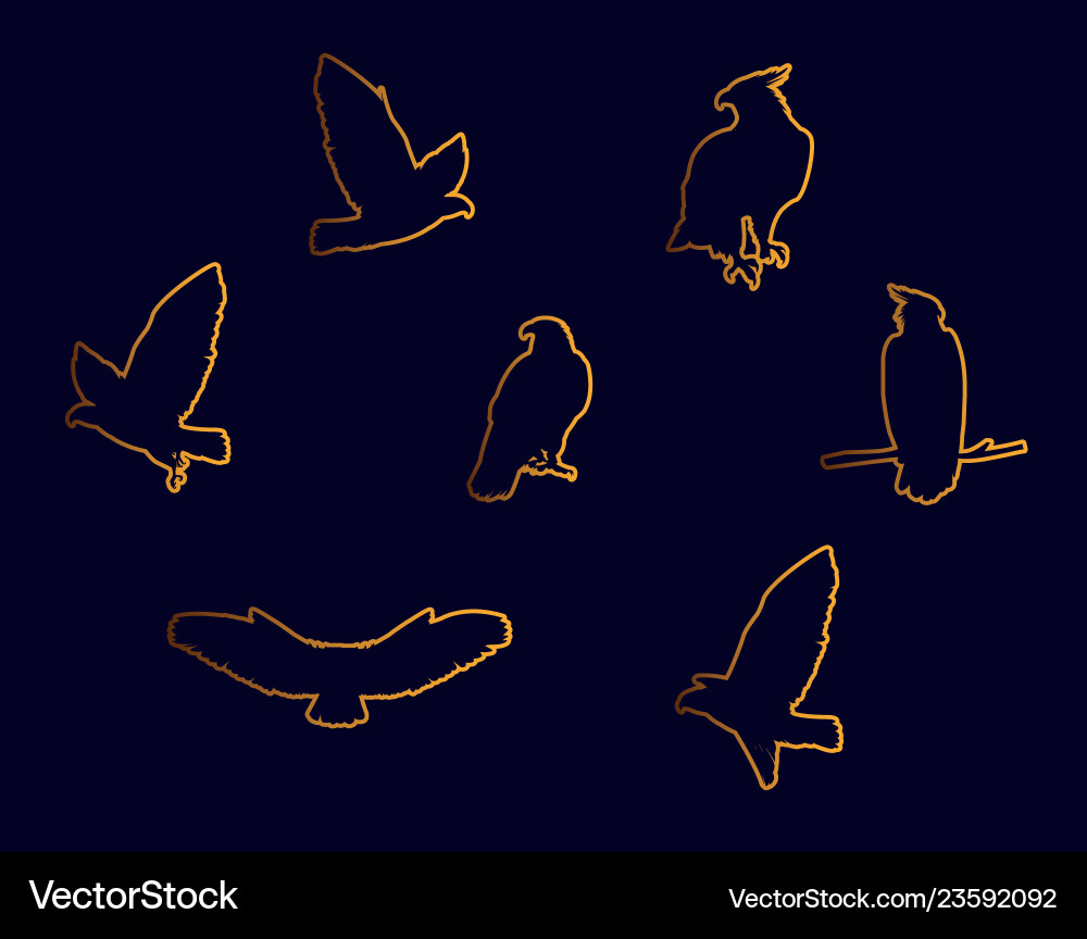 Hawks birds golden silhouettes with different Vector Image