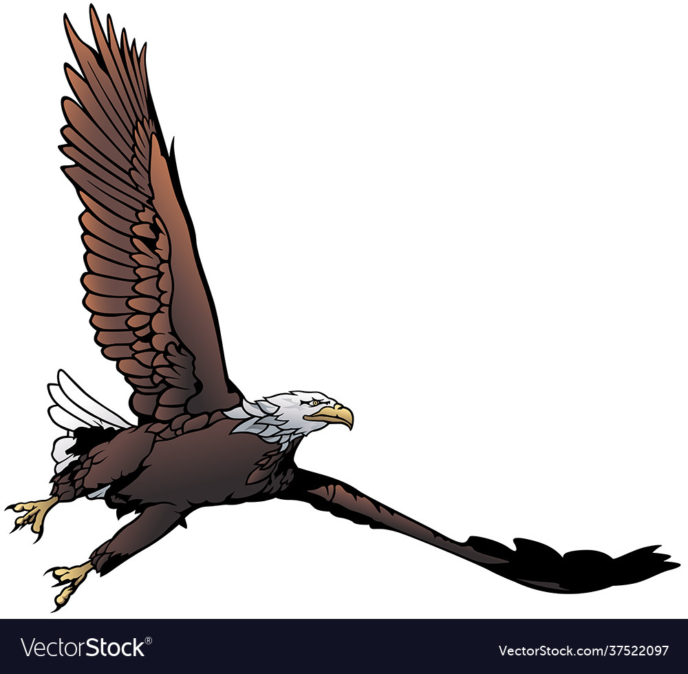 Fliegender Glatt Adler Lizenzfreies Vektorbild