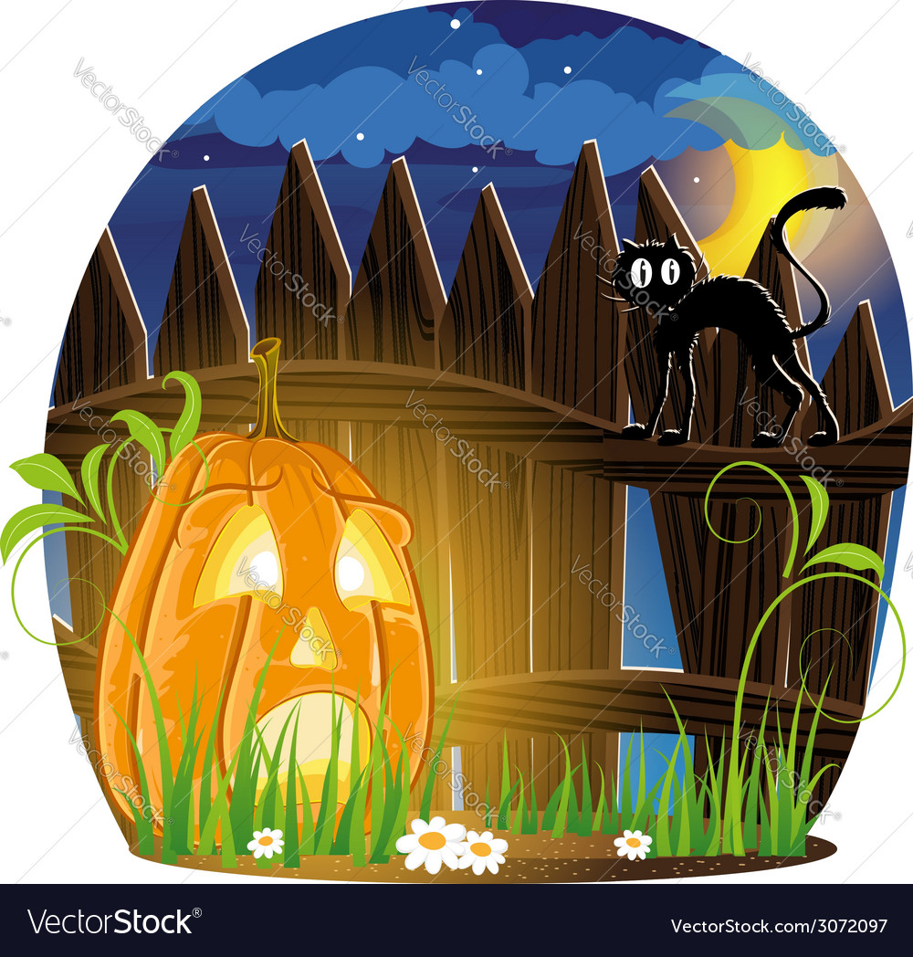 Jack o Lantern and black cat Royalty Free Vector Image