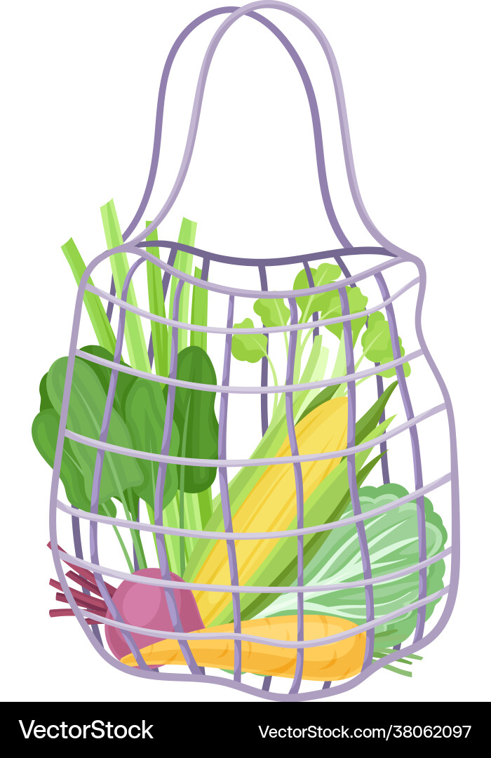 String reusable bag with grocery products as eco Vector Image
