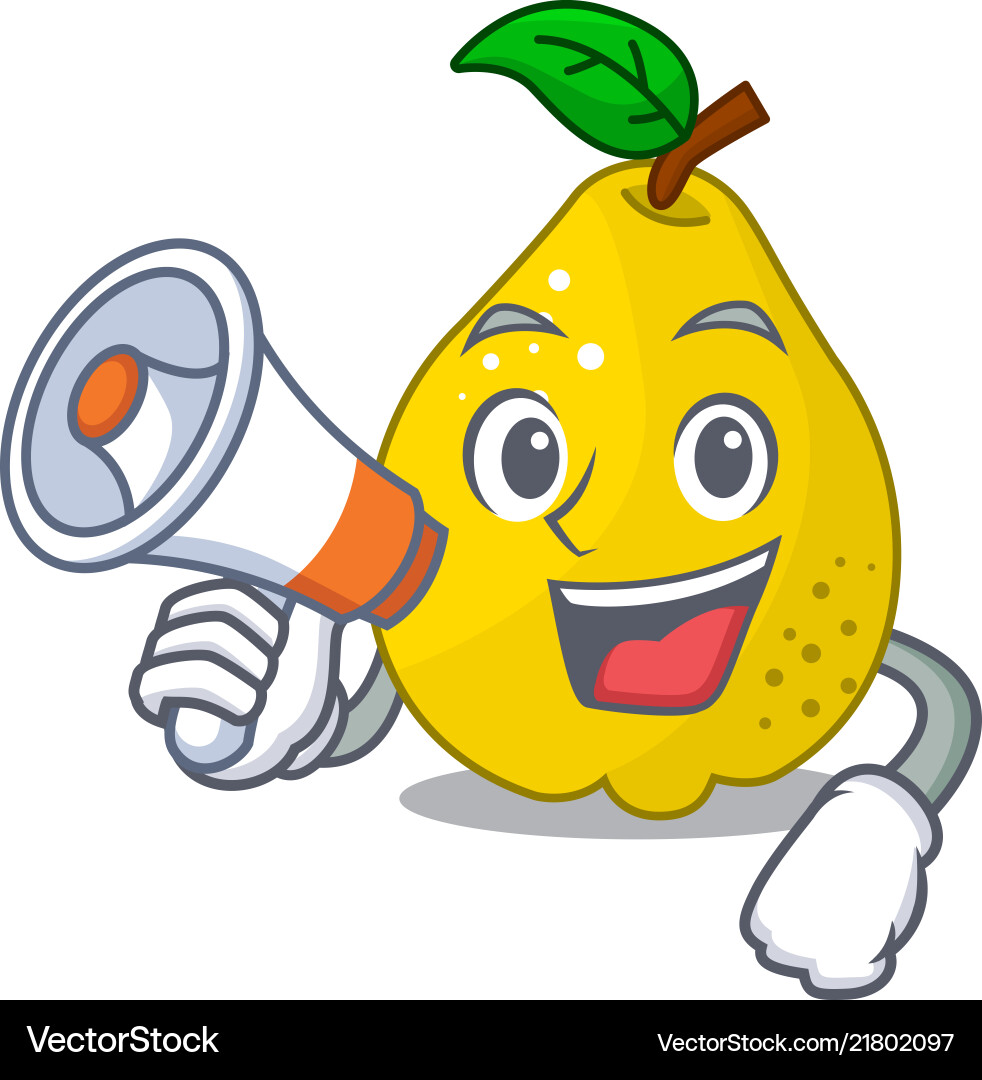 With megaphone character ripe quince fruit Vector Image
