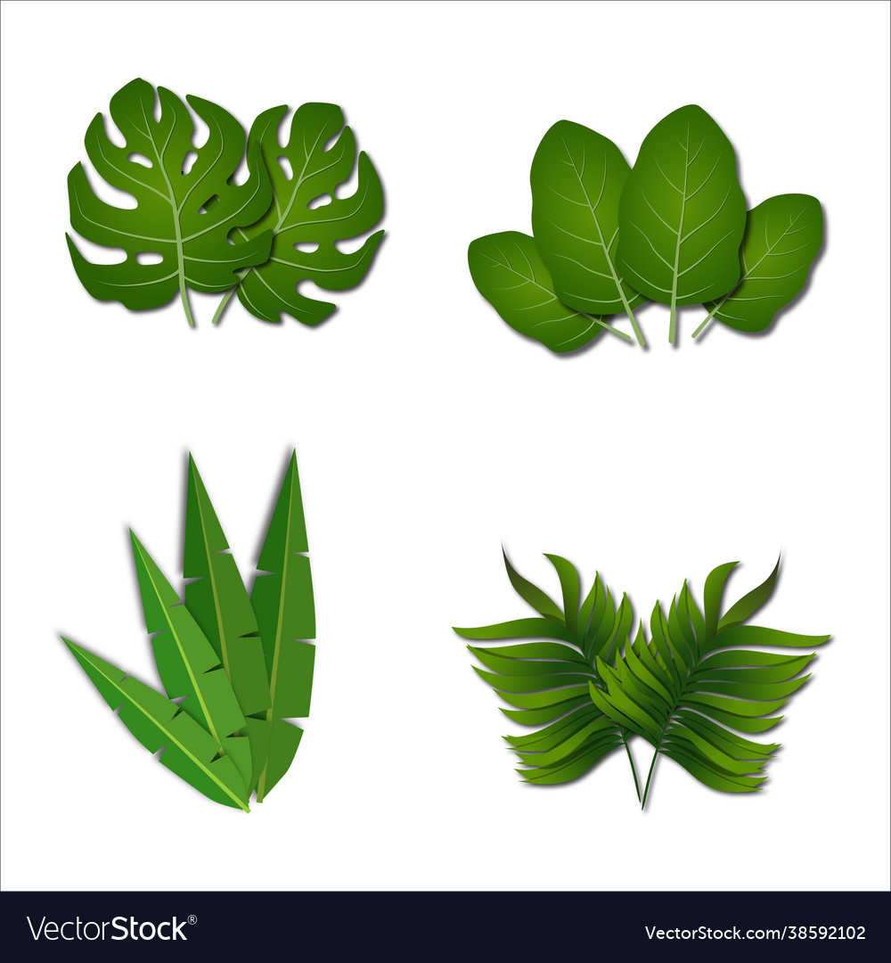 Leaf Royalty Free Vector Image - VectorStock
