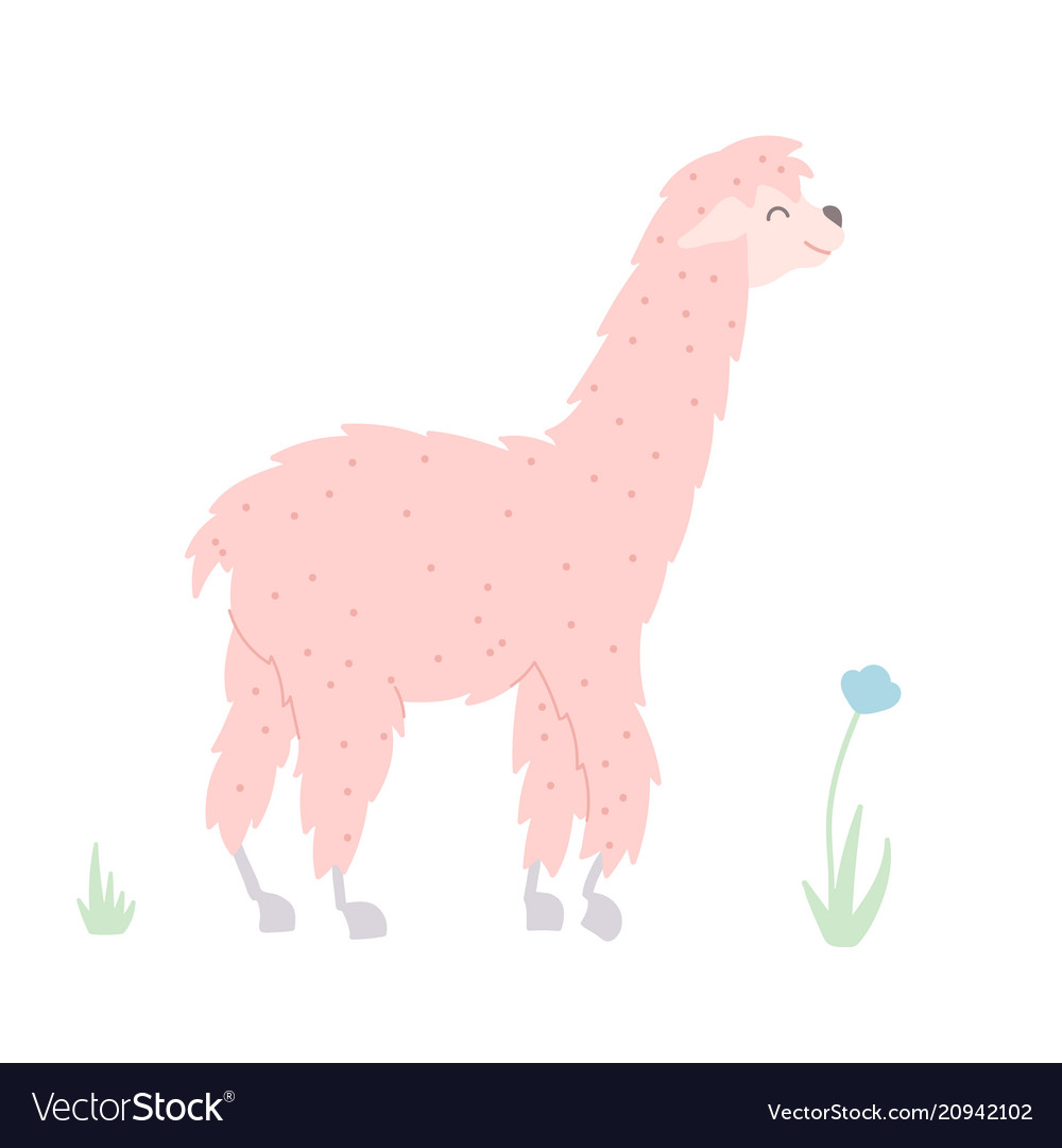 Llama Royalty Free Vector Image - VectorStock