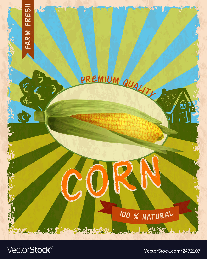 Corn retro poster Royalty Free Vector Image - VectorStock