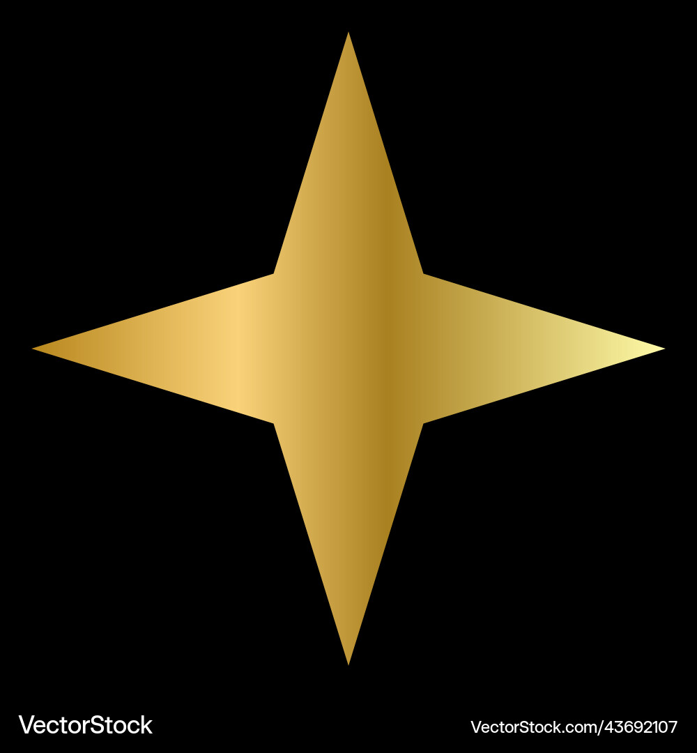 Golden star on the black background eps10 Vector Image