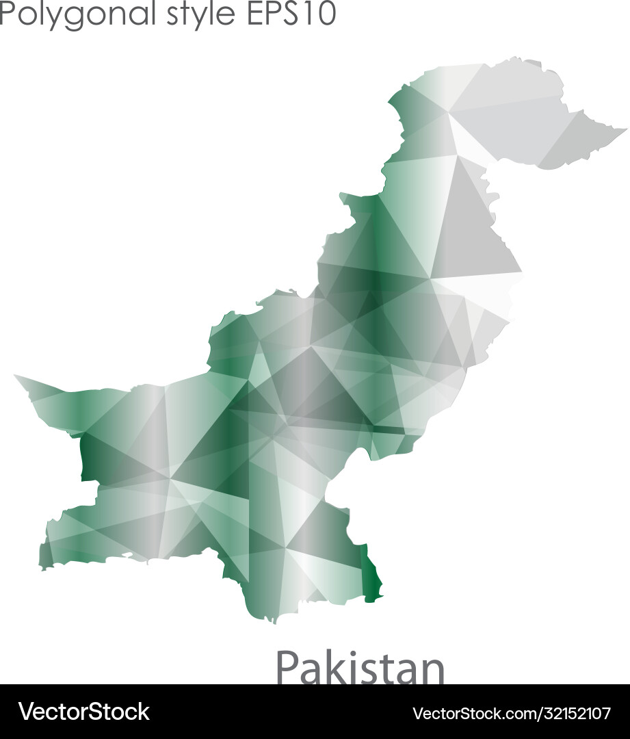 Isolated icon pakistan map polygonal geometric Vector Image