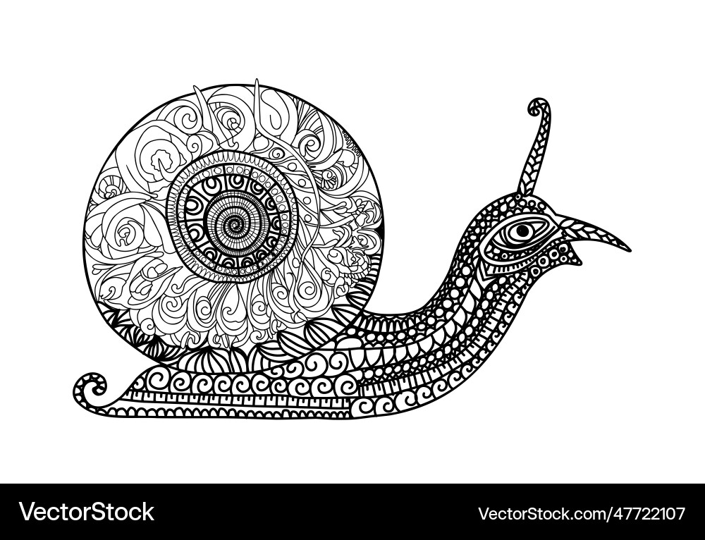 Mollusk snail in entangle stylesimple line Vector Image