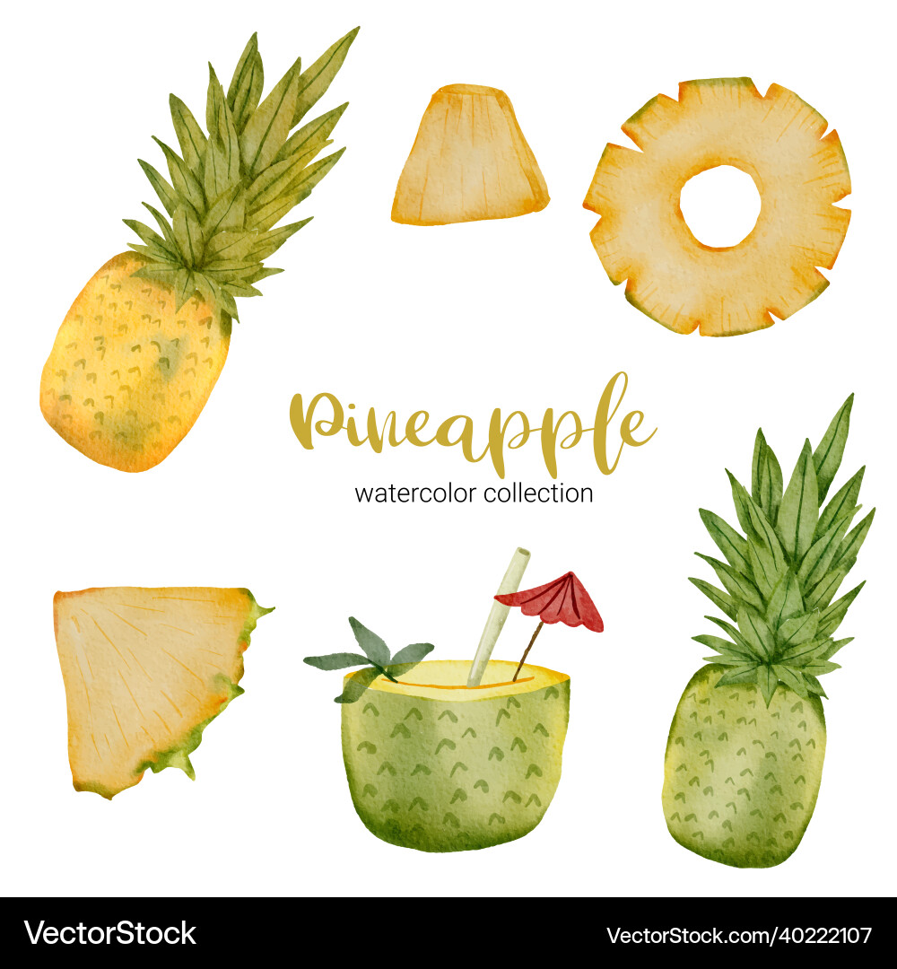 Pineapple in fruit watercolor collection flat Vector Image