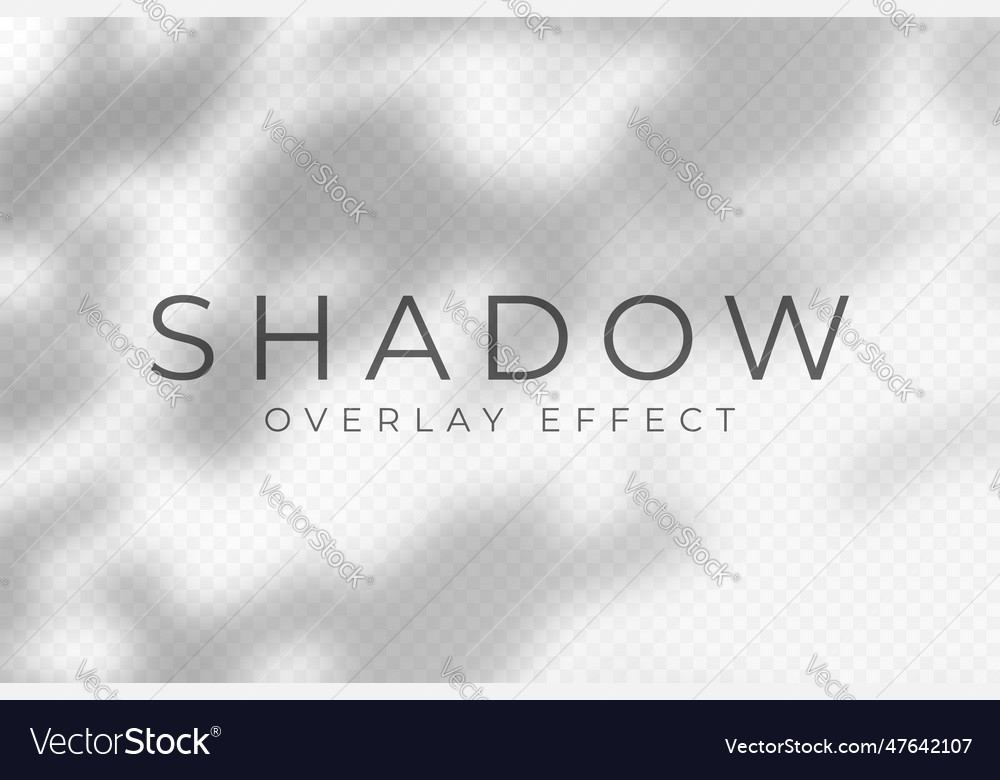 Shadow overlay effect transparent soft light Vector Image