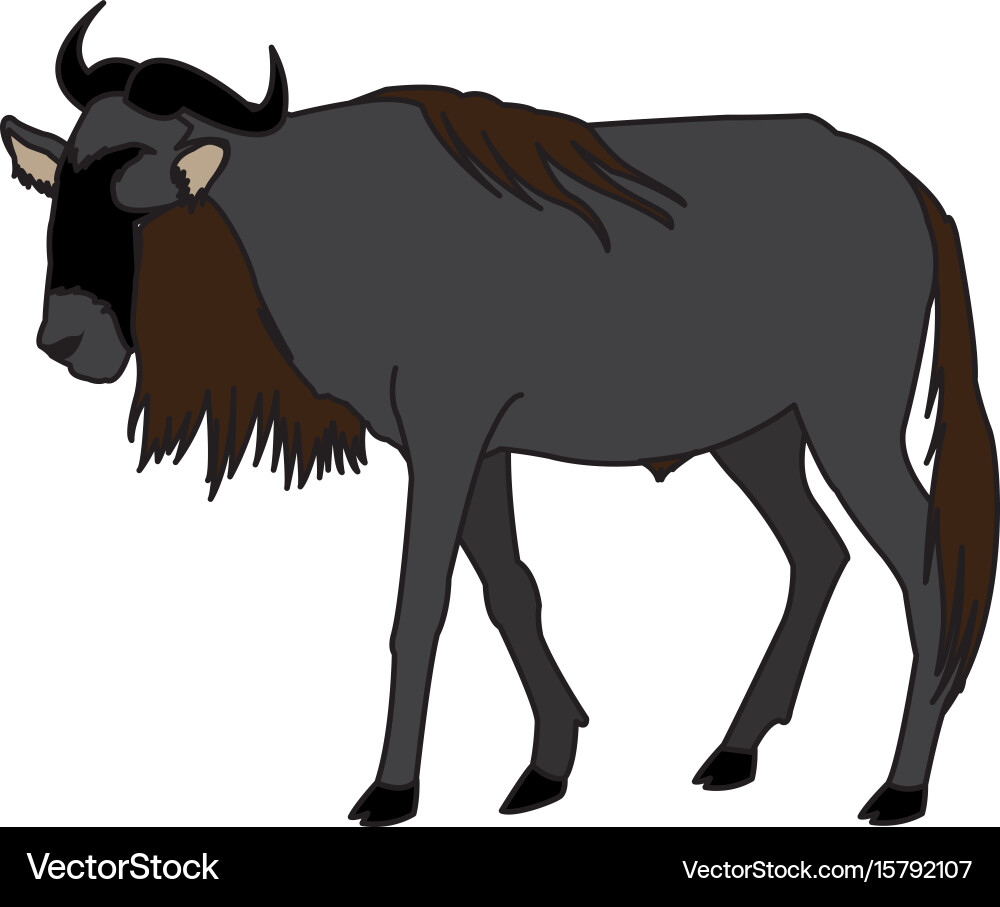 Wildebeest standing african wildlife animal Vector Image