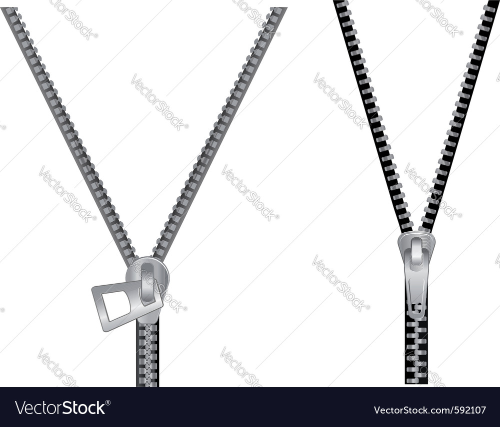 Zipper Royalty Free Vector Image - VectorStock