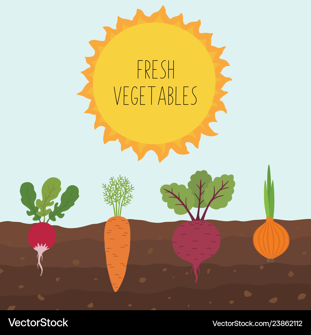 Fresh organic vegetable garden on blue sky Vector Image