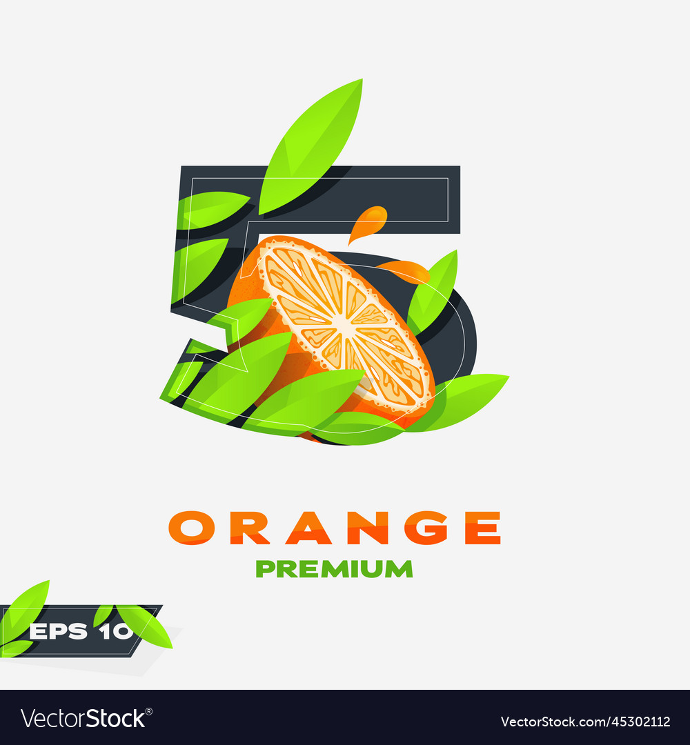 Numeric 5 orange fruit edition Royalty Free Vector Image