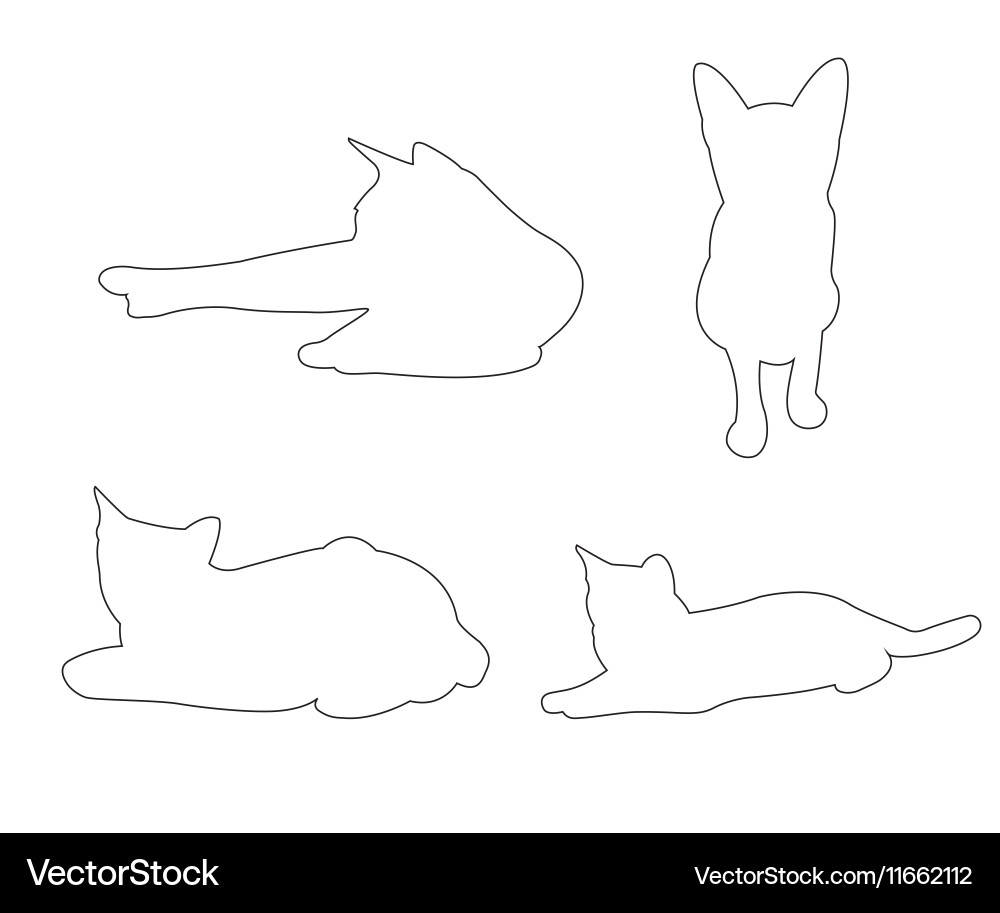 Paths of cats set on the white background Vector Image