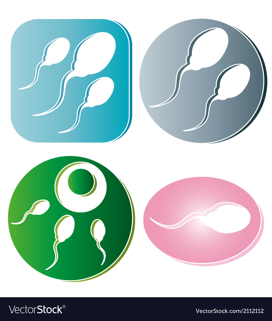 Sperm Royalty Free Vector Image - VectorStock