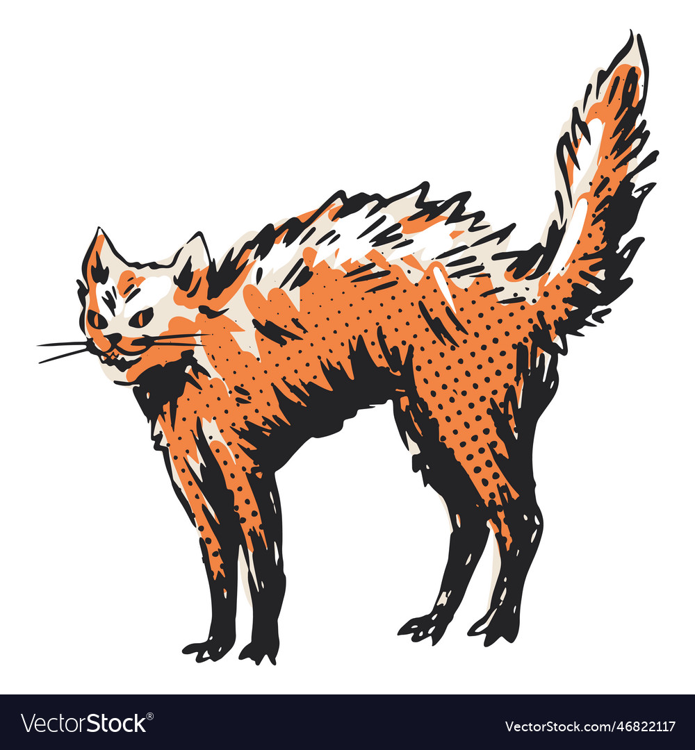 Bristly cat Royalty Free Vector Image - VectorStock