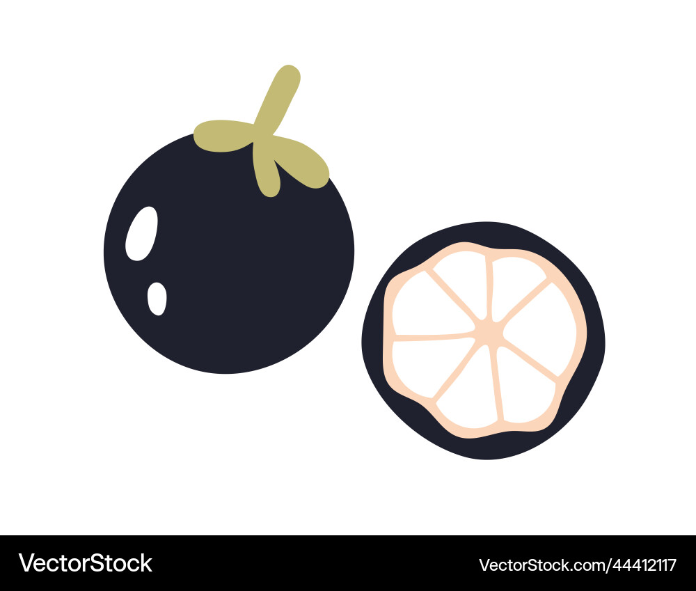 Mangosteen cut half and whole fruit exotic Vector Image