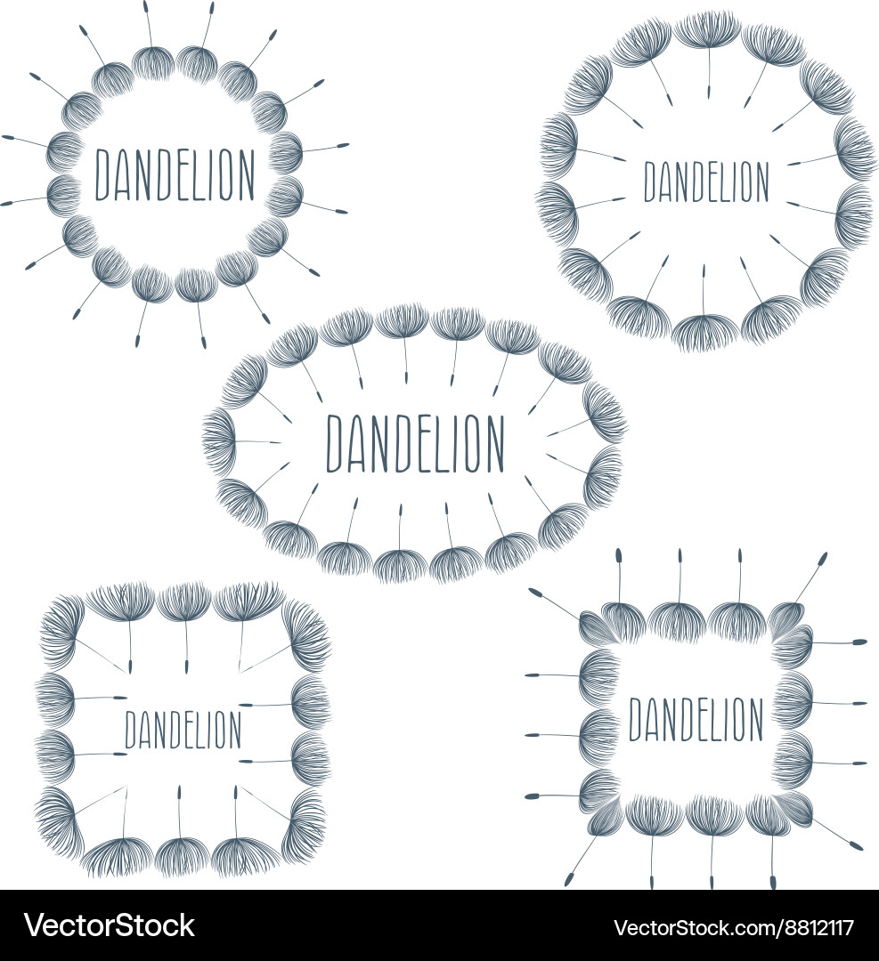 Set of labels fluffy dandelion flower Royalty Free Vector