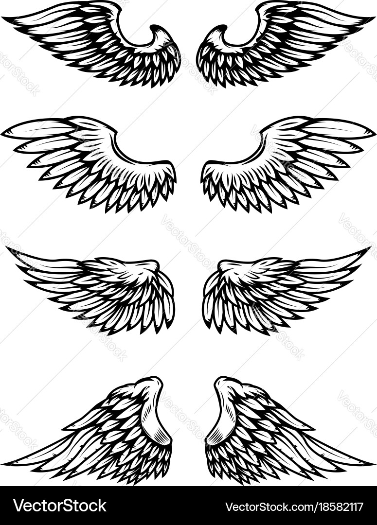 Set of wings isolated on white background Vector Image