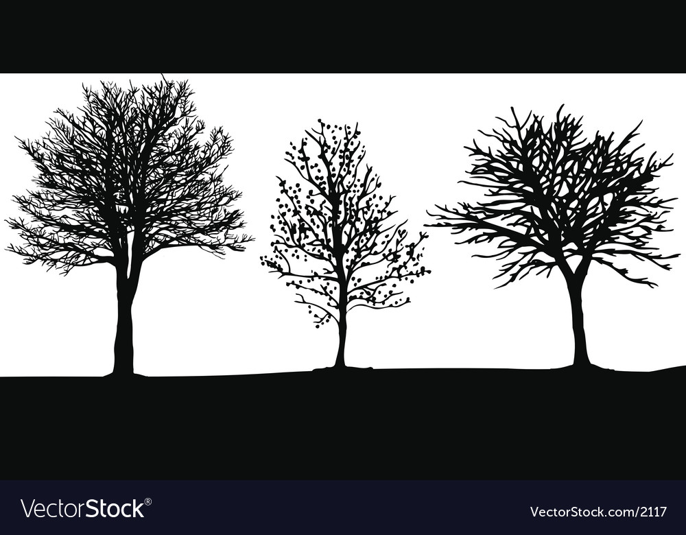 Winter trees Royalty Free Vector Image - VectorStock