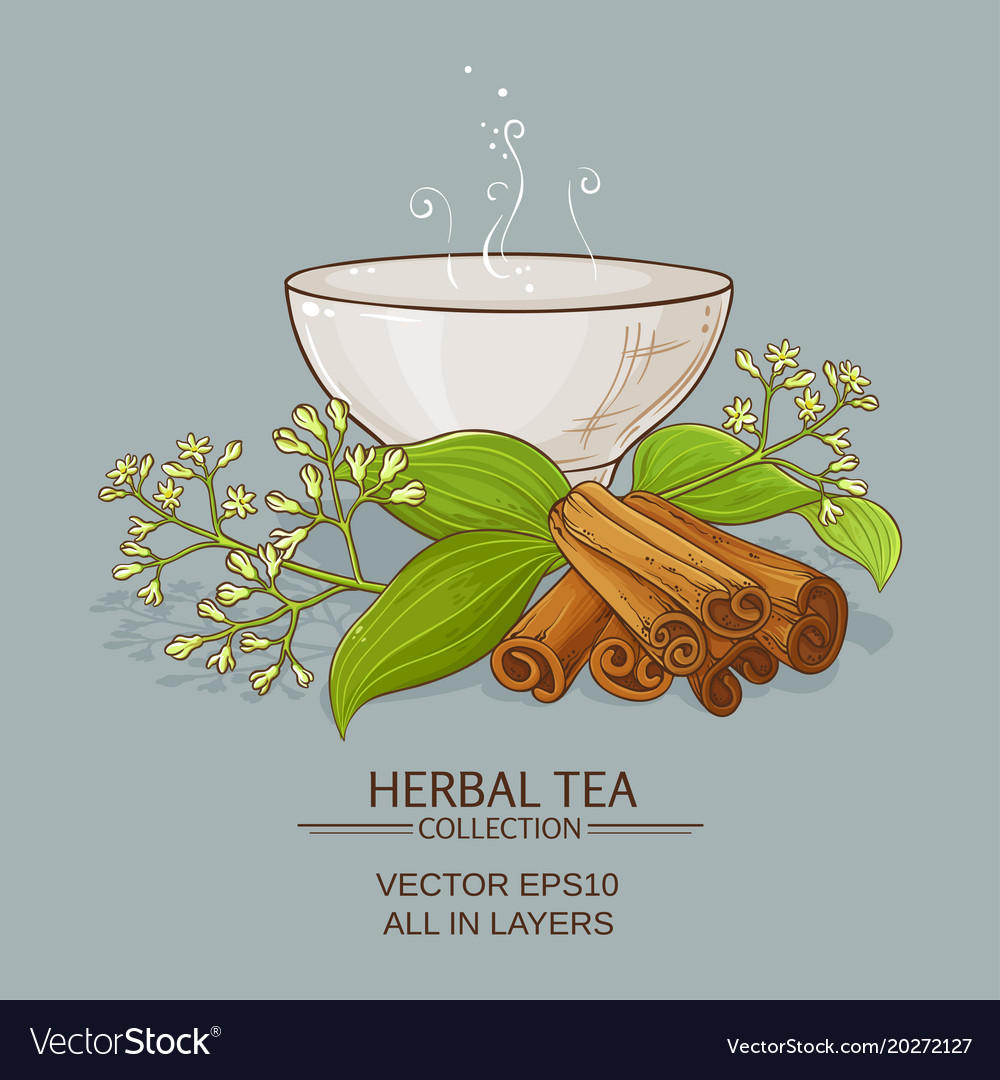 Cup cinnamon tea Royalty Free Vector Image - VectorStock