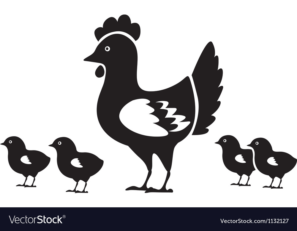 Hen with chicks Royalty Free Vector Image - VectorStock