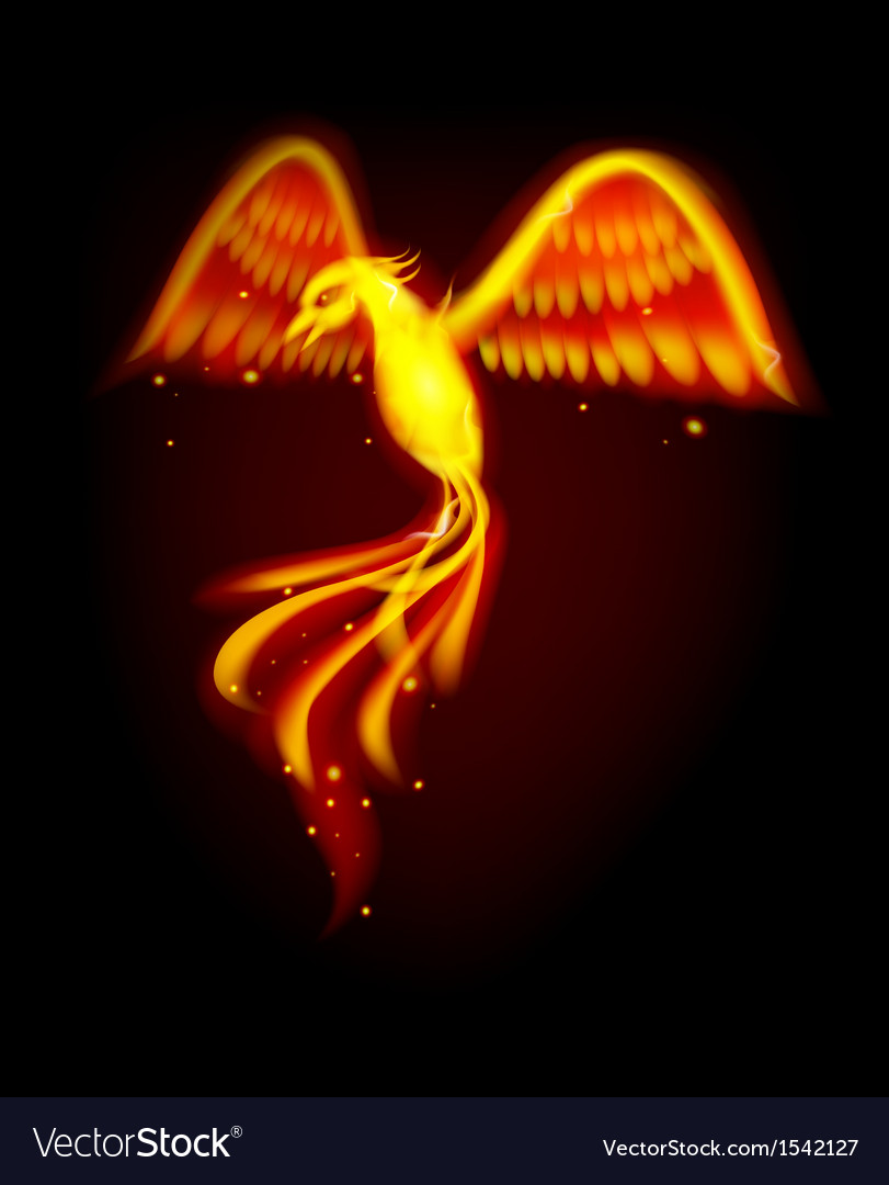 Phoenix bird Royalty Free Vector Image - VectorStock
