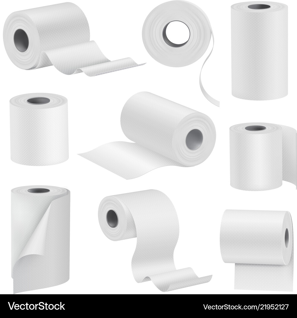 Realistic toilet paper in rolls white set Vector Image