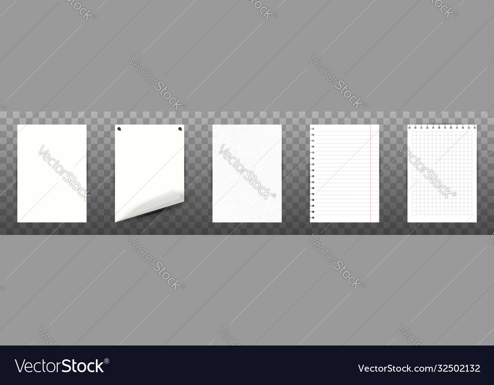 A collection clean and lined paper sheets Vector Image
