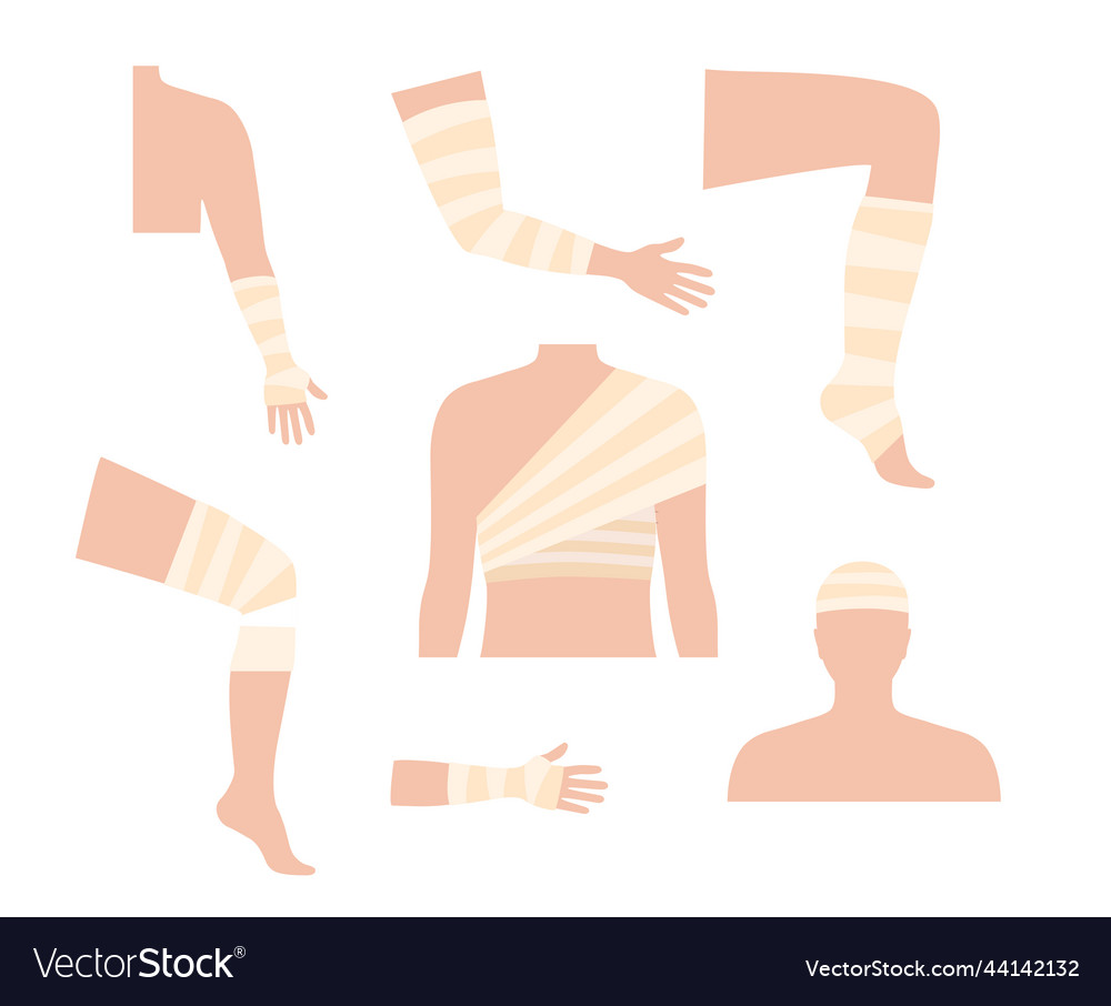 Human limbs trauma Royalty Free Vector Image - VectorStock