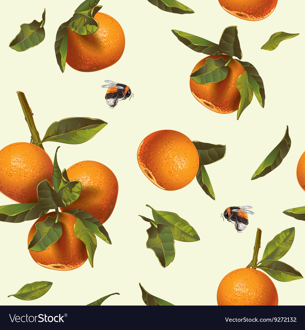 Orange mandarin pattern Royalty Free Vector Image